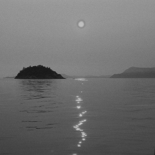 Stream most beautiful (ft. Achex) by lofish | Listen online for free on ...