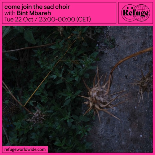 Stream come join the sad choir - Bint Mbareh - 22 Oct 2024 by Refuge ...