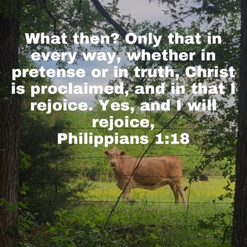 Stream Philippians 1:18-19 - Rejoicing In Christ by The Other Spurgeon ...