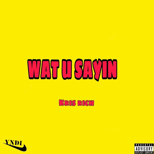 Stream Wat U Sayin by Kris Rich | Listen online for free on SoundCloud