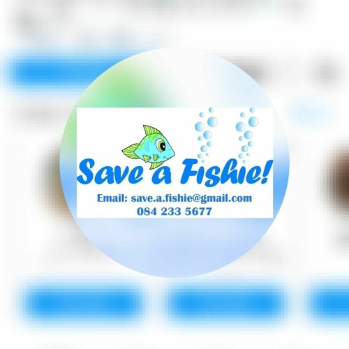 Stream Turning the Tide: Zoe Prinsloo's Remarkable Journey Cleaning 100 ...