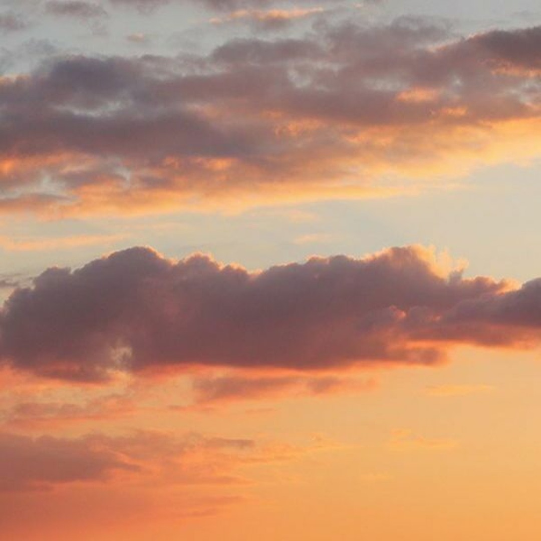 Stream taylor ann | Listen to frank ocean *unreleased, misc.* playlist ...