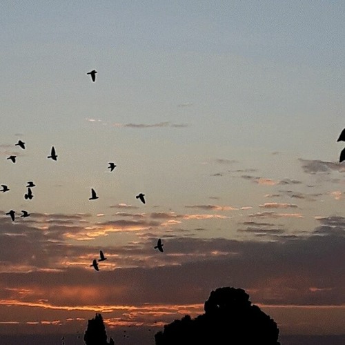 Stream The Frequency Of Love by Rosalind Beth Horowitz/Cosmic Utopian ...