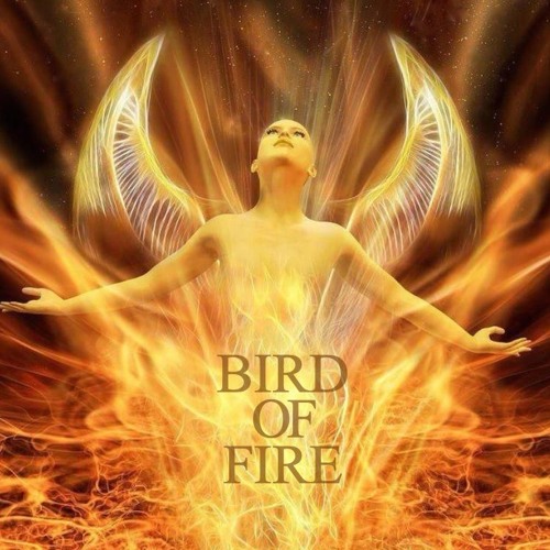 Stream Andrew Demus - BIRD OF FIRE by Andrew Demus | Listen online for ...