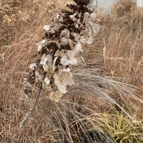 Stream Autumn breeze - JIDA by 성아지 | Listen online for free on SoundCloud