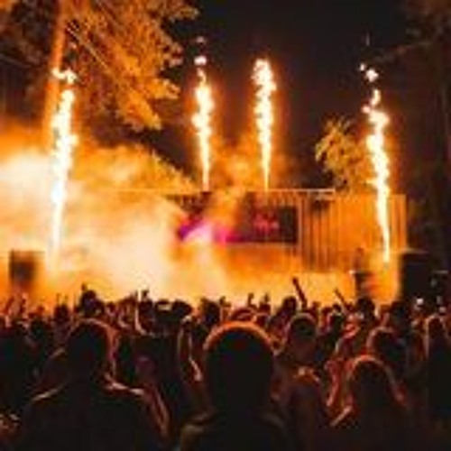 Stream One In The Woods Promo 2023 by Nikki Chong | Listen online for ...