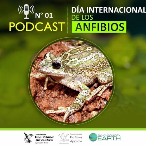 Stream Día internacional de los ANFIBIOS by Ayacucho Pro Facuna ...
