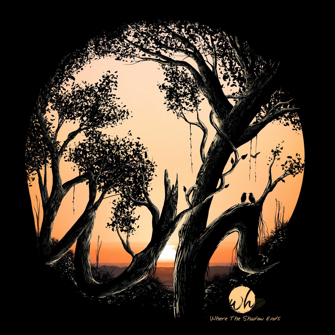 Stream DSF - Omorfa (Original Mix) by Where The Shadow Ends | Listen ...