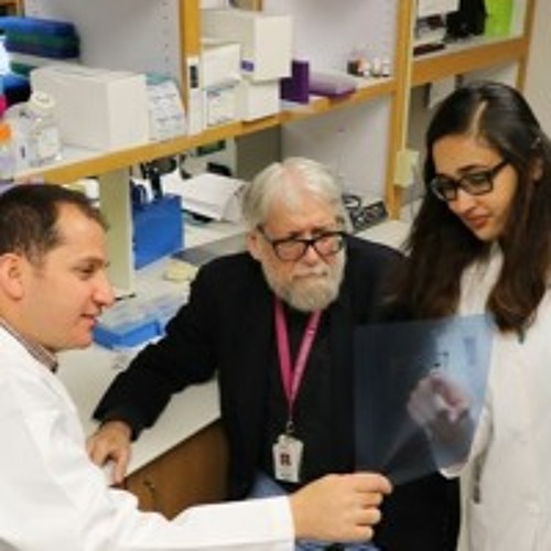 Stream The human story behind human genome sequencing | Professor James ...