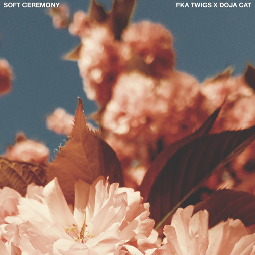 Stream DRUG TO HELL 2022: FKA TWIGS (home with you) X DOJA CAT (streets ...