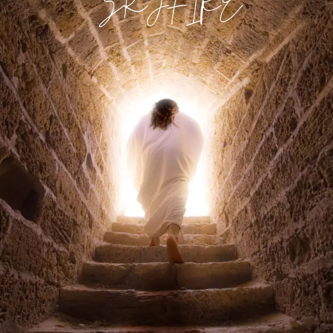 Stream The Rapture Of Jesus Christ by Dj Skyfire | Listen online for ...