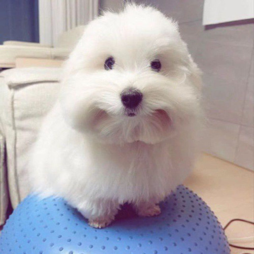 Stream lieu - in college1 (April 5th, 2025) by rab | Listen online for ...