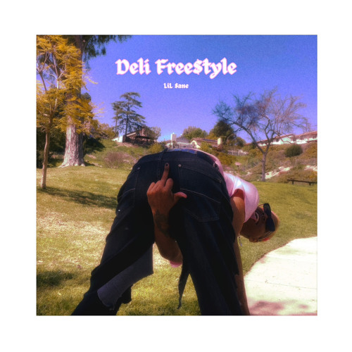 Stream “Deli” Free$tyle by LiL $ane | Listen online for free on SoundCloud