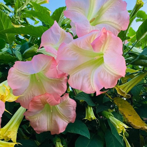 Stream Everest - Anger inside 2025-02-22 22_17.m4a by Everest | Listen online for free on SoundCloud