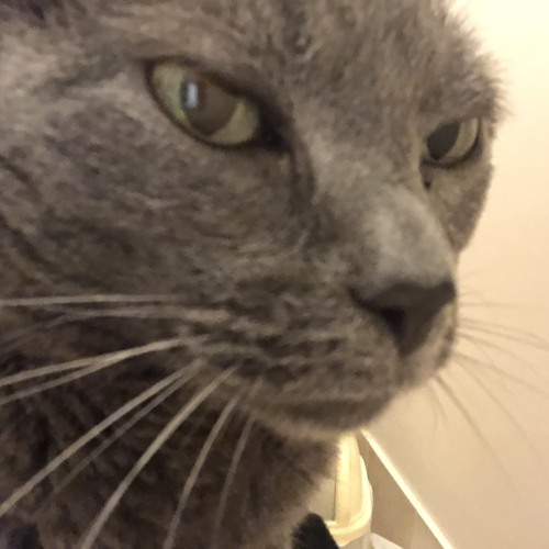 Stream Luna Skywalker | Listen to Fav’s🫀 playlist online for free on ...