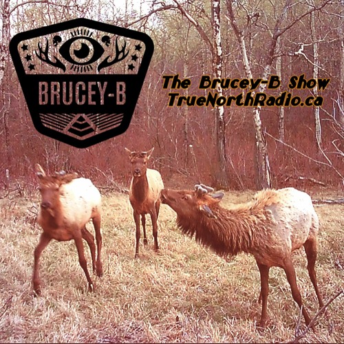 Stream The Brucey-B Show. Unofficial 4 Hour Special. TrueNorthRadio.ca ...