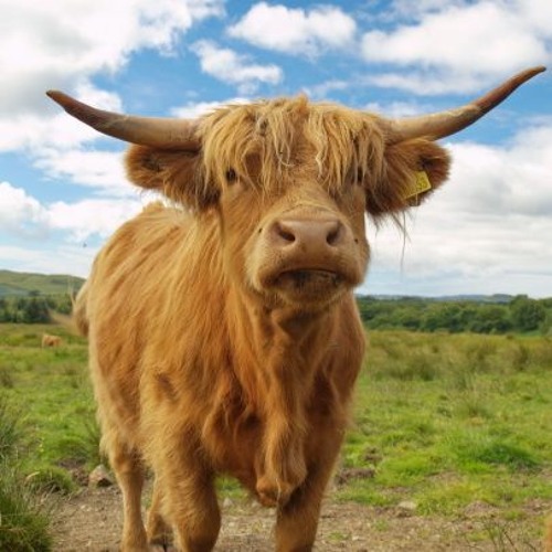 Stream TOKYOFRENZY & MPXL ☆ FREESTYLE by quantavious dingleton bottom ...