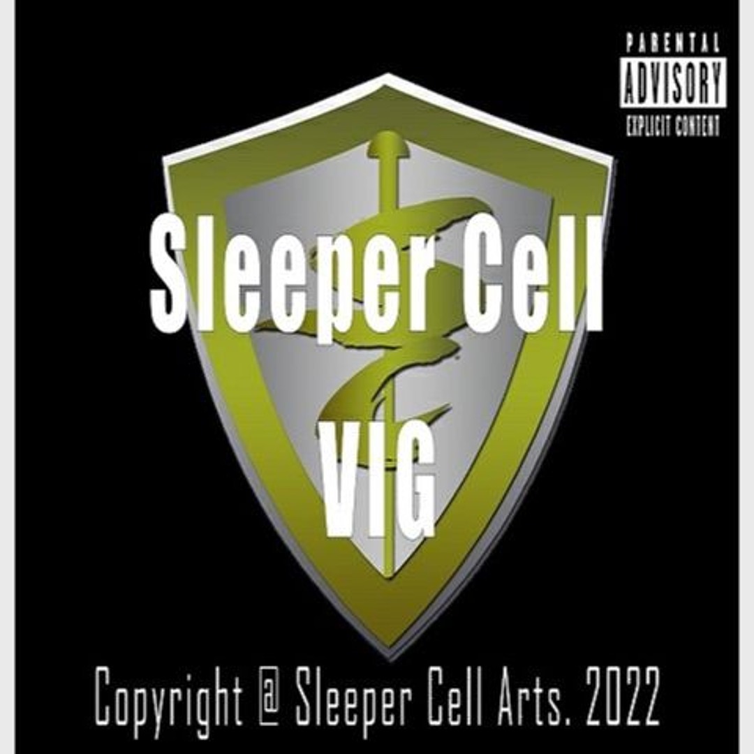 Stream "Vanity" by Sleeper Cell Vig by Shel1Ka5e Entertainment | Listen ...