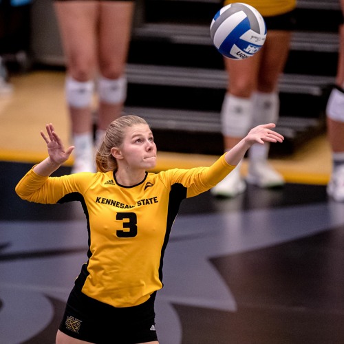 Stream Owl Network Exclusive: Caroline Cole by KSUowls | Listen online ...