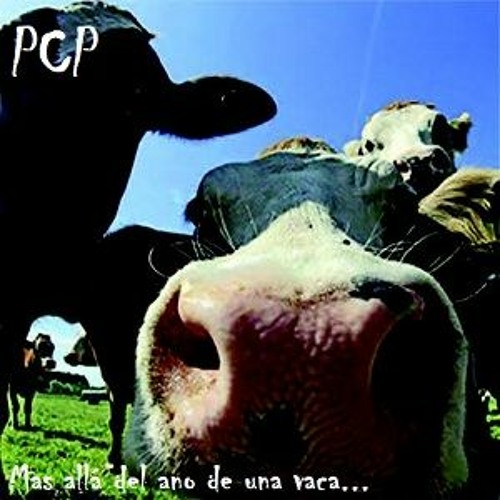 Stream Brisa Y Sol by PCP | Listen online for free on SoundCloud
