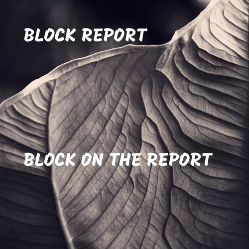 Stream Deeper Than the Roots by Block Report | Listen online for free ...