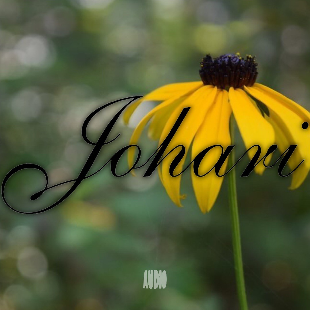 Stream Jason Paul - Rizz Talk by Johari Audio | Listen online for free ...