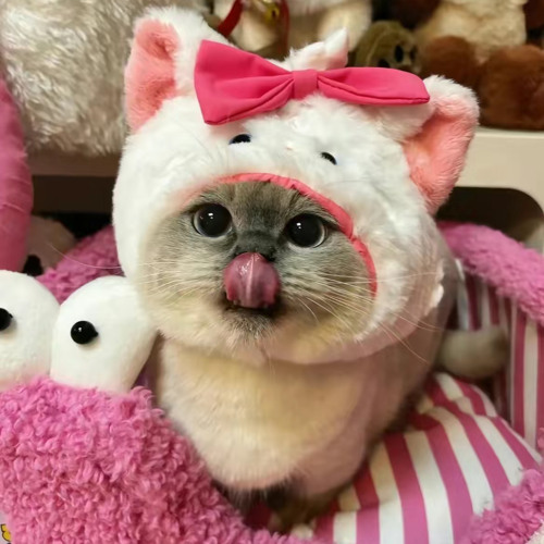 Stream ifrptso.otd | Listen to Jank boteko ️ didi pack playlist online ...