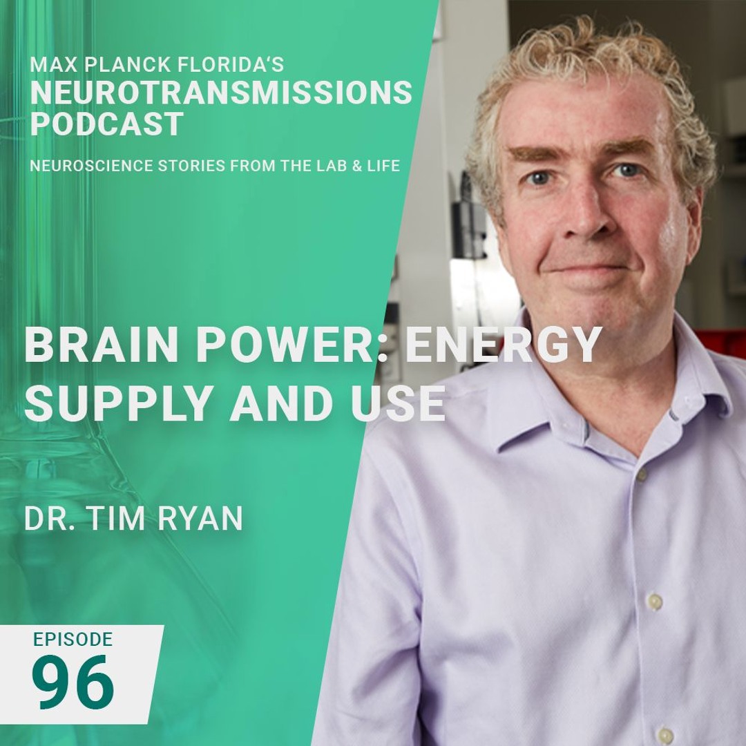Stream episode 96. Brain Power: Understanding the Brain's Energy Supply and Use with Dr. Tim ...