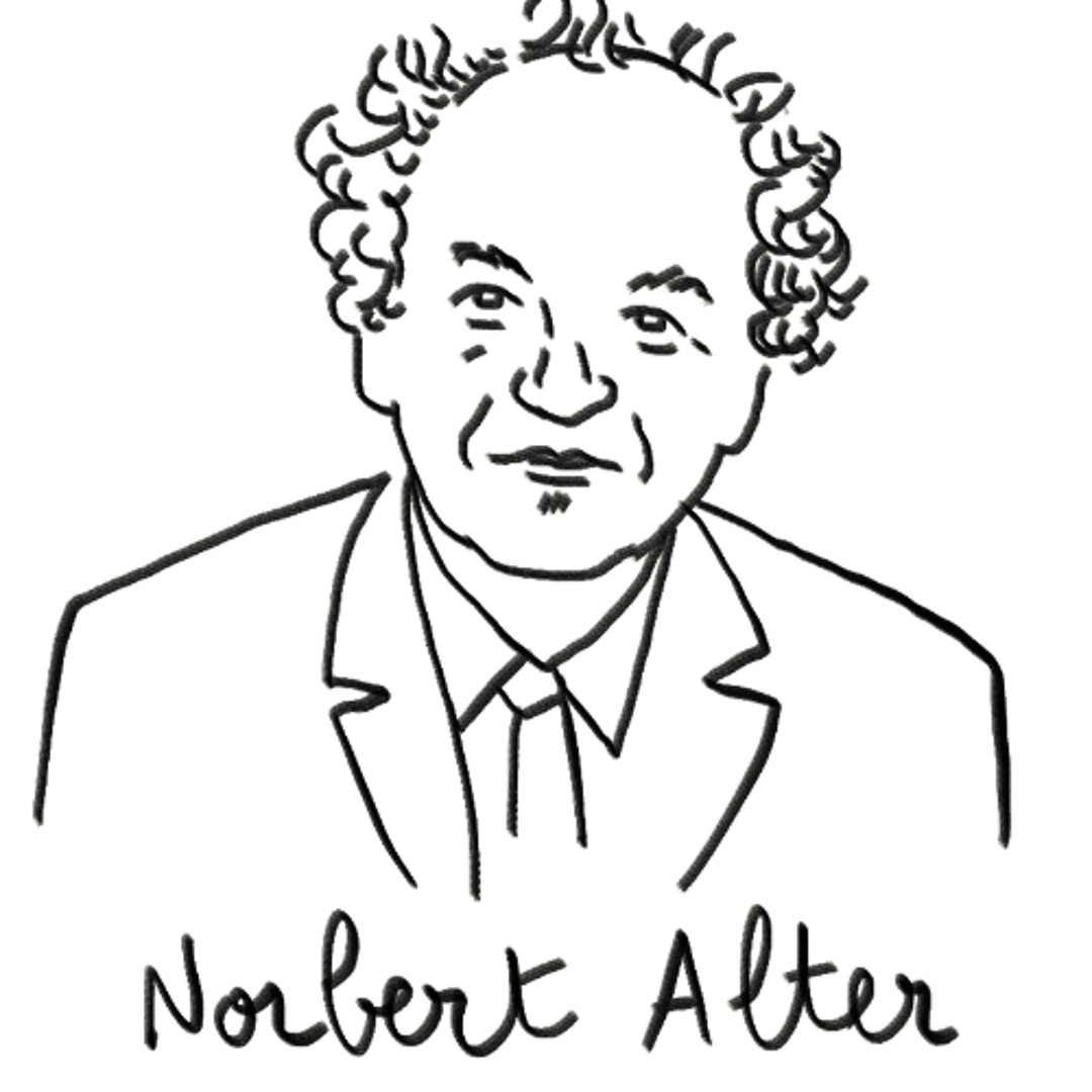 Stream Alter, Norbert - Sociologie du monde du travail - Cultures et ...