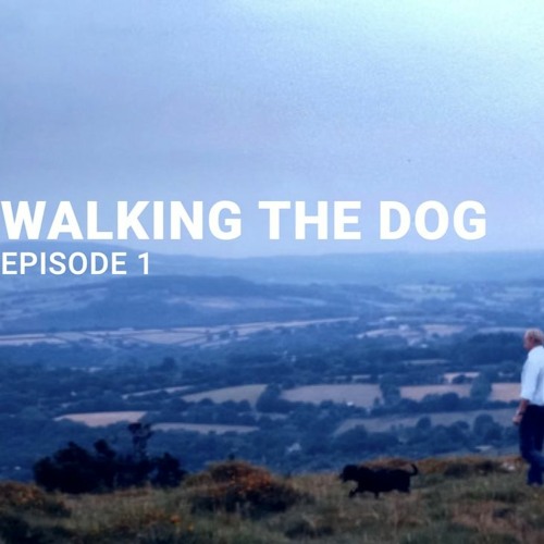 Stream UK Column Live | Listen to Walking The Dog With Brian Gerrish ...