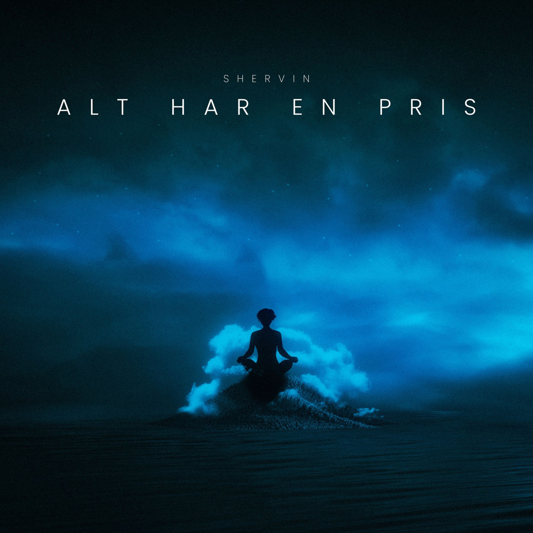 Stream Alt Har En Pris by Shervin | Listen online for free on SoundCloud