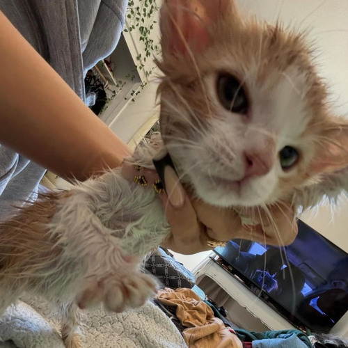 Stream dddddddd | Listen to game playlist online for free on SoundCloud