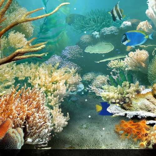 Stream PATCHED All 3Planesoft 3D Screensavers [2021] from Ava | Listen ...