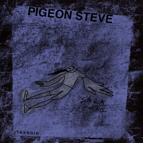 Stream TASHDIR 〄 Pigeon Steve by 𝗥𝗮𝗻𝗱𝗼𝗺 𝗺𝗲𝗺𝗼𝗿𝘆 | Listen online for free ...
