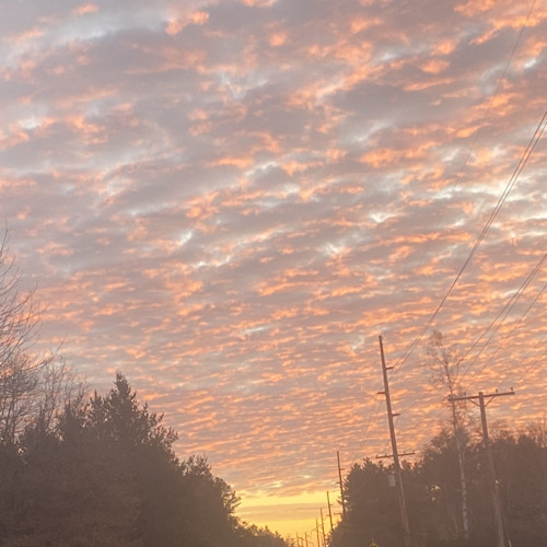 Stream DIP-Remix by LZEE | Listen online for free on SoundCloud