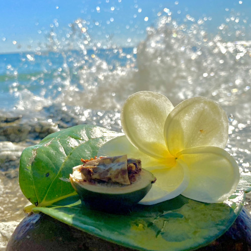 Stream Track 02 - Just a Friend by Lilly Nu Nimgil | Listen online for ...