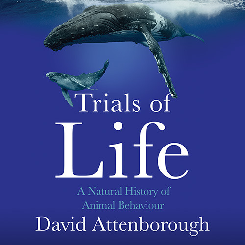 Stream The Trials of Life: A Natural History of Animal Behaviour, By ...