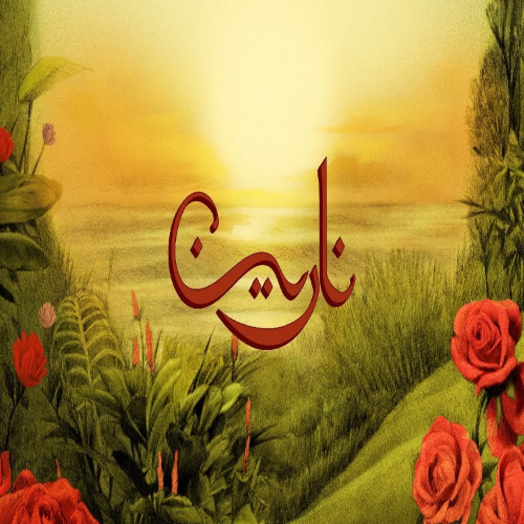 Stream TUL8TE - Narein I تووليت - نارين by مهرجانات دوت كوم (موقع ...