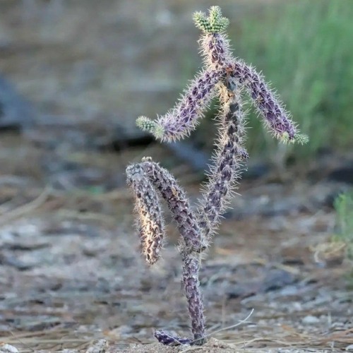 Stream John Jompe Marttinen | Listen to SPEZIAL HICK HOP playlist ...