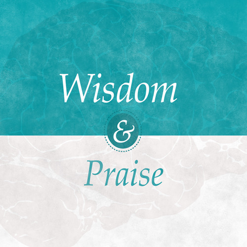 Stream Stillwater Bible Church | Listen to Wisdom and Praise playlist ...
