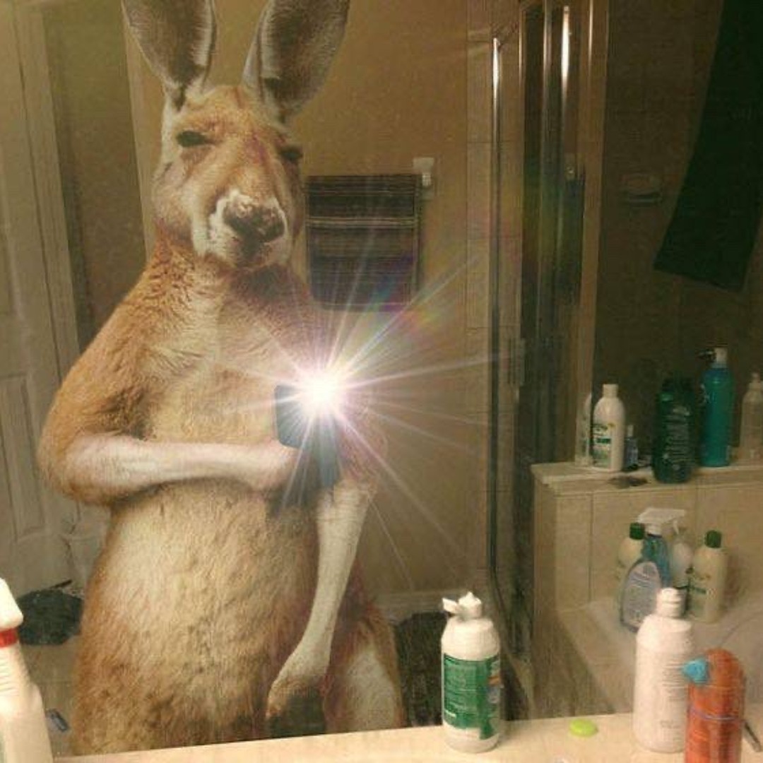 Stream Playboi Carti - Dancer by crispygazik | Listen online for free ...