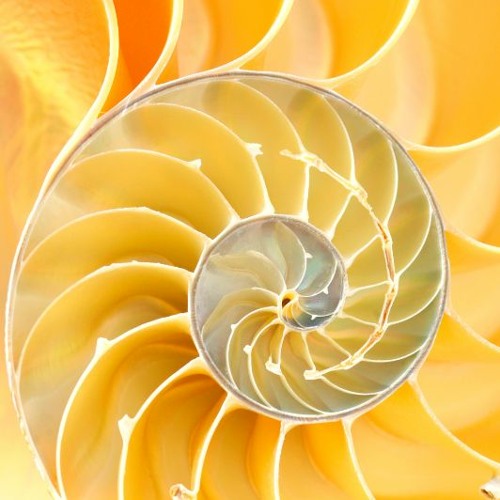 Stream episode Sacred Geometry Art: Exploring the Power of Symbols and ...