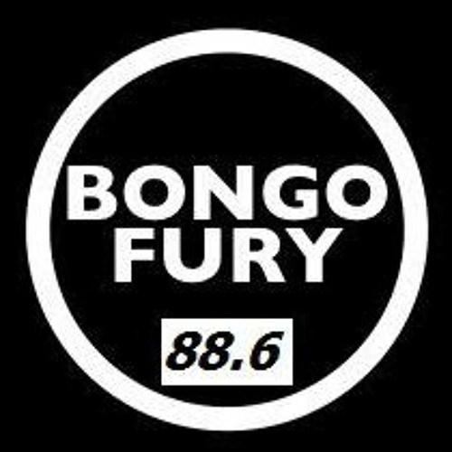 Stream Bongo Fury - Juin 2022 - Summer Fury by Radio Gâtine | Listen ...