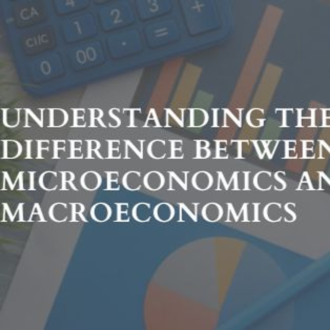 Stream Understanding The Difference Between Microeconomics And Macroeconomics by Piroska Nagy ...