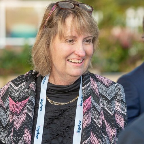 Allison Hooper's Instagram, Twitter & Facebook on IDCrawl