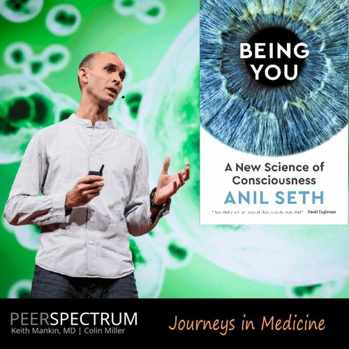 Stream Consciousness & Being a Beast Machine with Neuroscientist, Anil ...