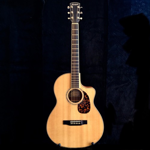 Stream Larrivee LSV - 03 Sound Clip Demo by John Mistretta | Listen ...