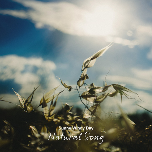 Stream Sunny Windy Day by Natural Song | Listen online for free on ...