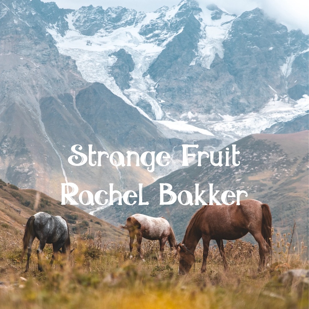 Stream Northern Lights by Rachel Bakker | Listen online for free on ...
