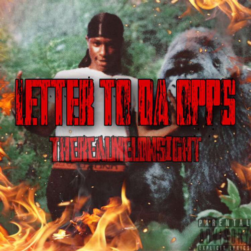 Stream Letter To Da Opps by TheRealMelonsight | Listen online for free ...